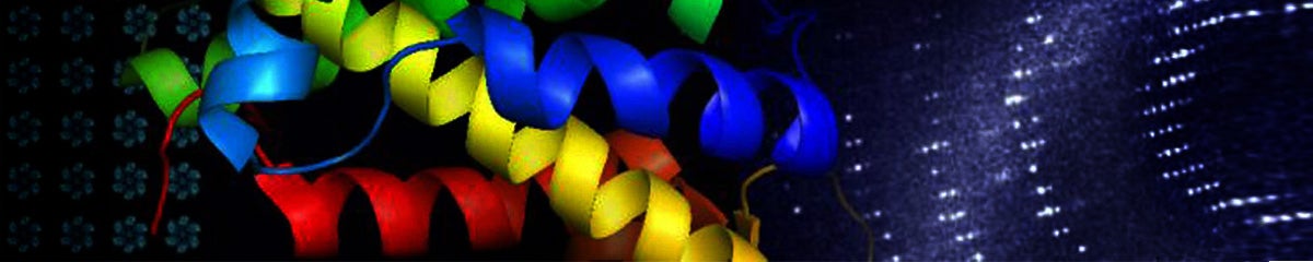 The Interdisciplinary Biophysics Program – University of Virginia ...