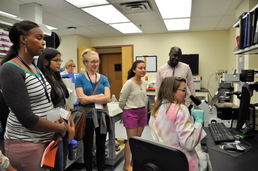 Program Overview - Mini-Medical School