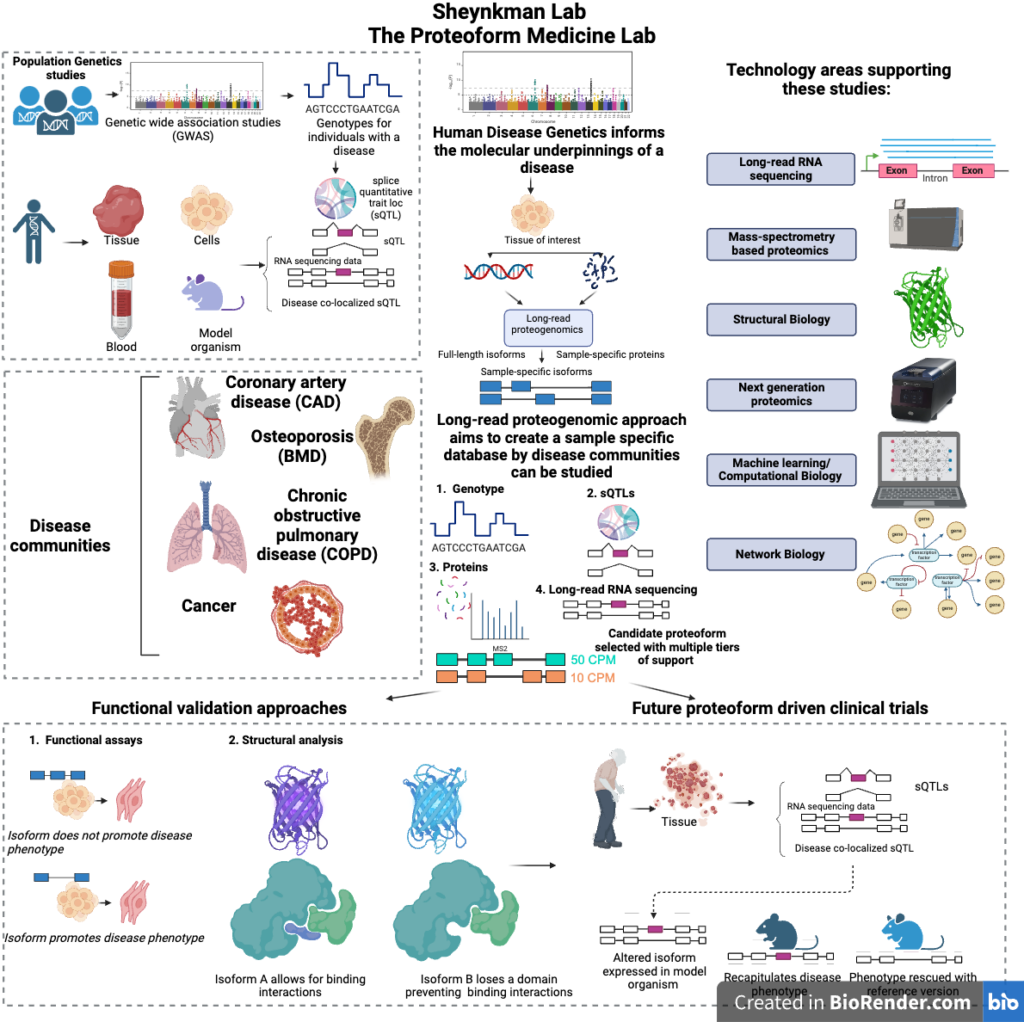 Sheynkman Lab - Sheynkman Lab Website Sheynkman Lab - Sheynkman Lab Website